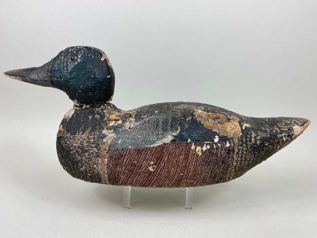 Rare Gundelfinger Shoveler Drake, All Original, Circa 1930's (#6575 ...