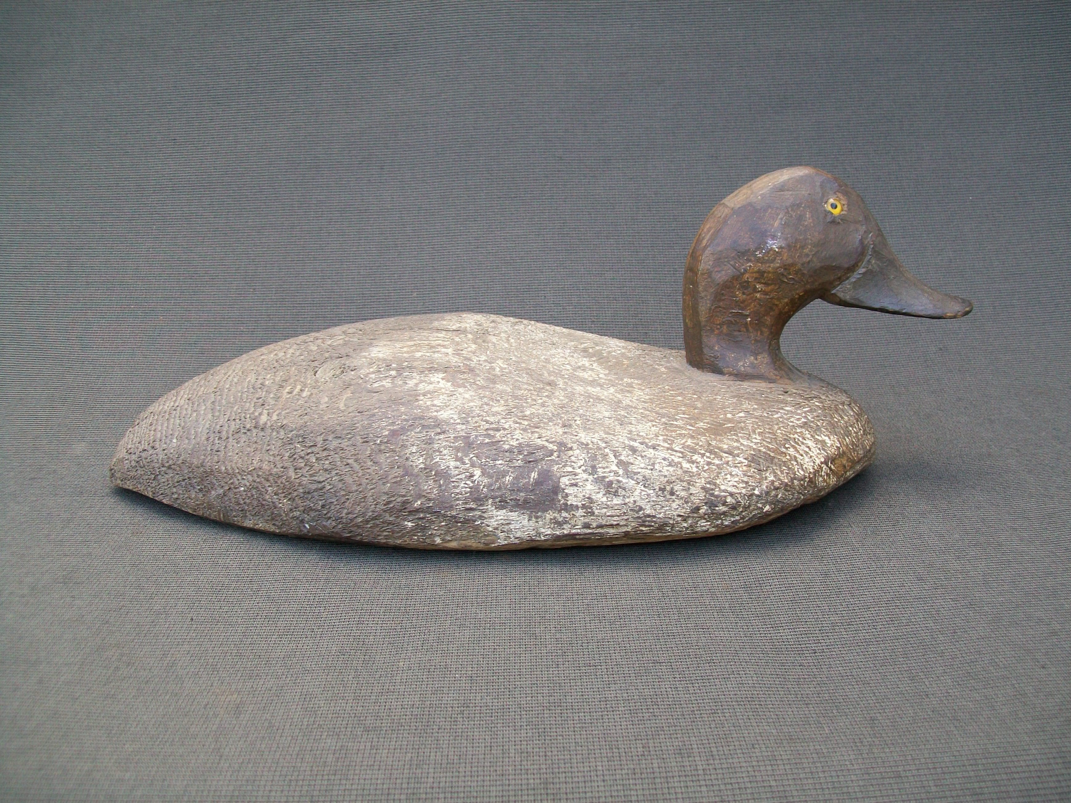 Hen Redhead Duck Wing