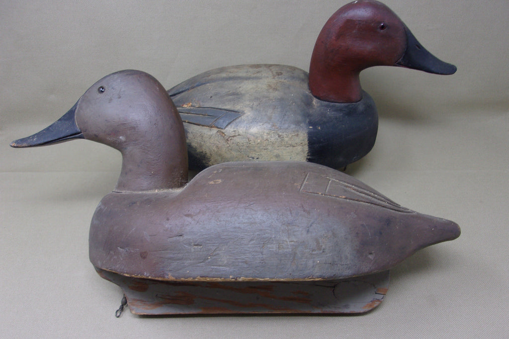 Michigan Pair Canvasbacks, Original Paint, Circa 1930's (#3930) - Muddy ...