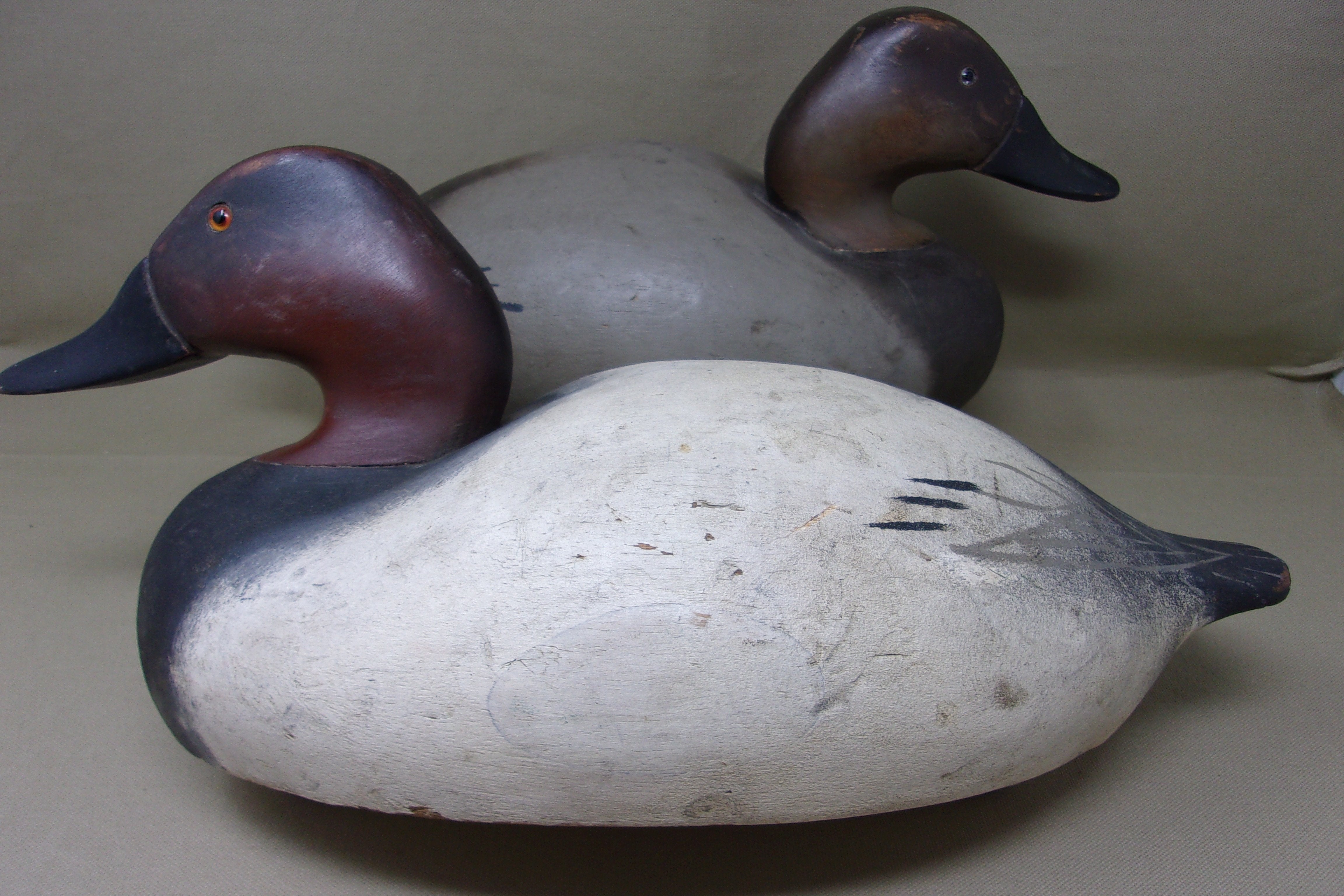 Early Wildfowler Canvasback Pair (#4066) - Muddy Water Decoys